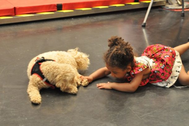 Art Expressions of the past 30 days. Streb Residency at Skidmore Collage